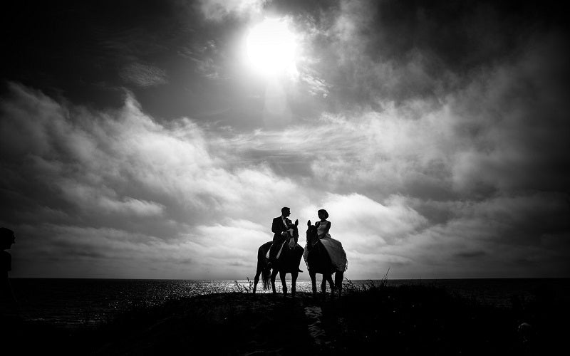 Las 15 mejores películas sobre caballos que debes ver & Univers Cheval
