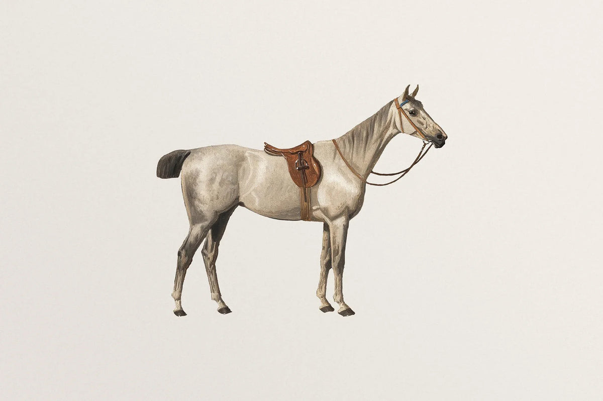 Tableau "Pégase Royal" & Univers Cheval